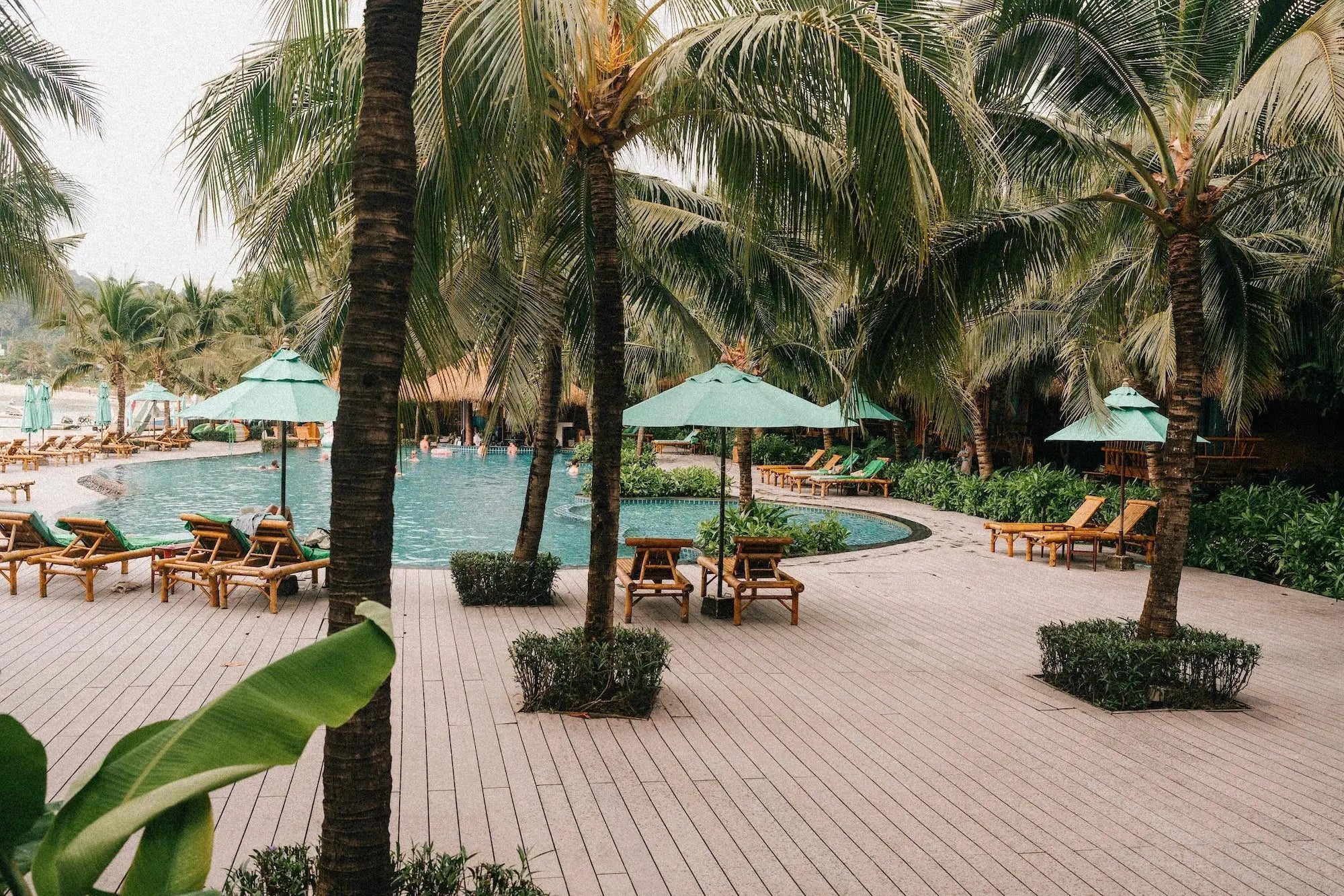 Integer elementum dui nisl, in maximus risus - The Hemp Company